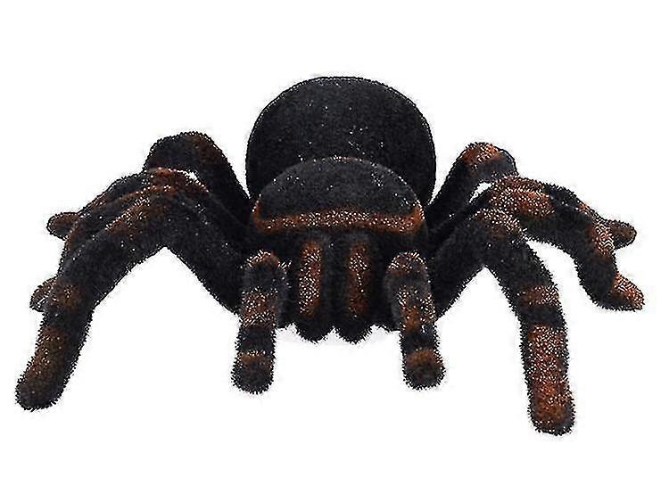 For Rc Spider Realistic Infrared Rc Animal Tarantula With Lighting ...
