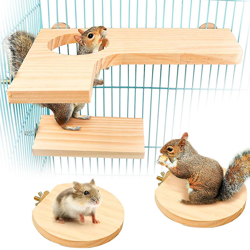 5 Pack Natural Wood Stand Hamster Activity Playground For Birds Parrots ...