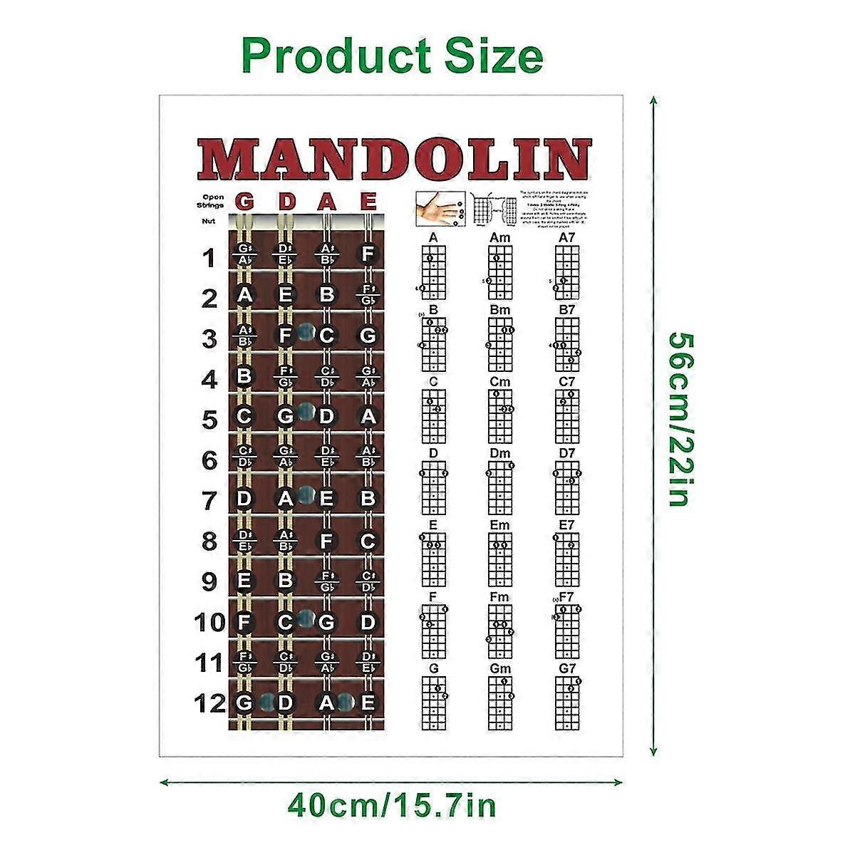Mandolin Poster Chart Chord Musical Trainning Instrument Guide Chords ...