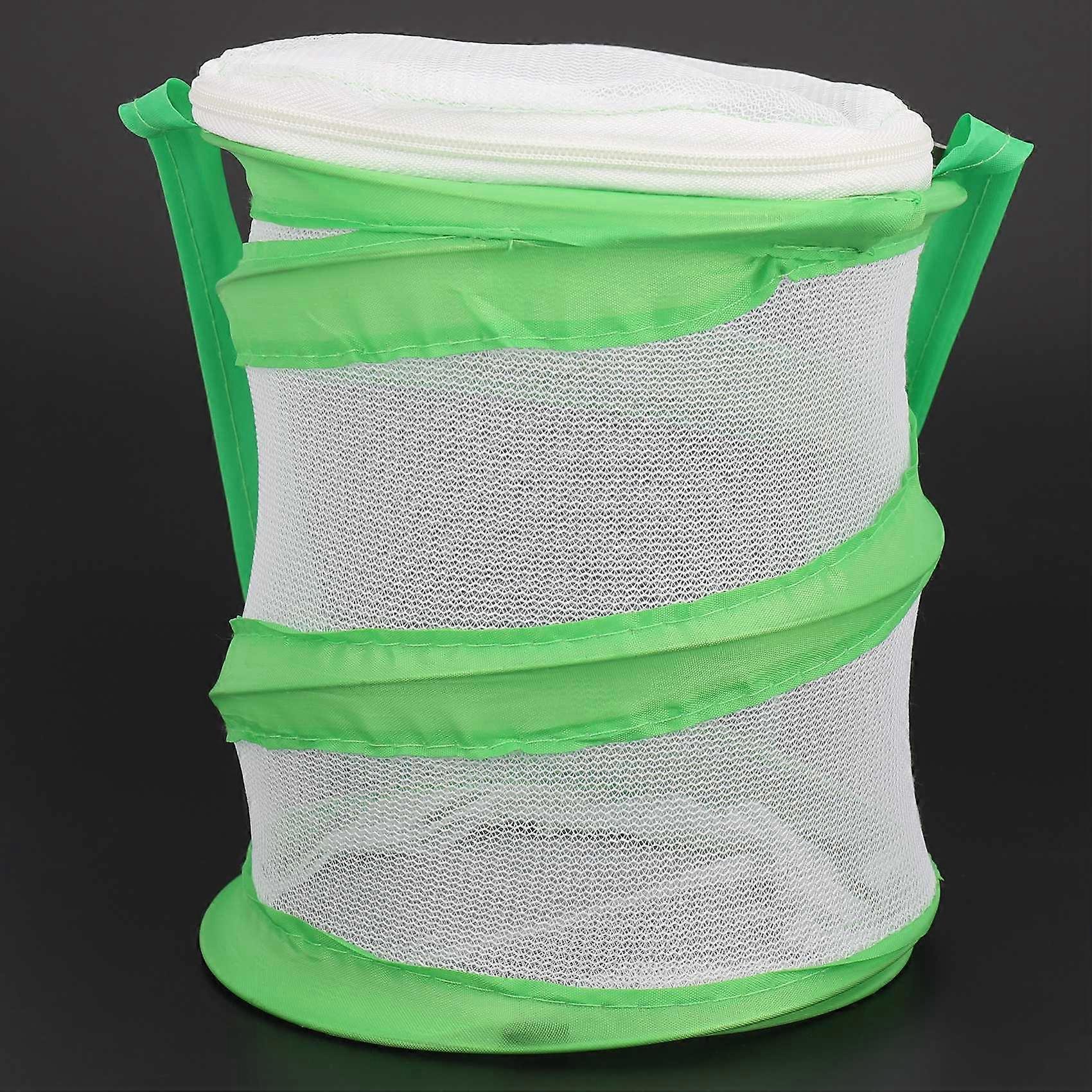 Small Praying Stick Insect Butterfly Pop-up Cage Housing Enclosure ...