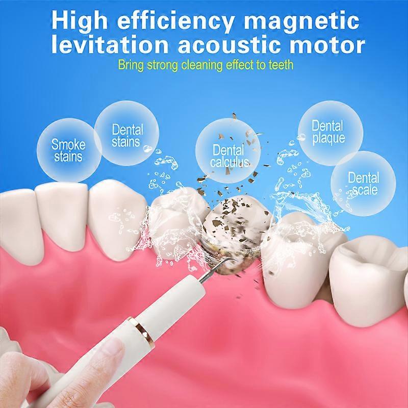 High Frequency Sonic Toothbrush Teeth Cleaner Scaler Tooth Calculus ...