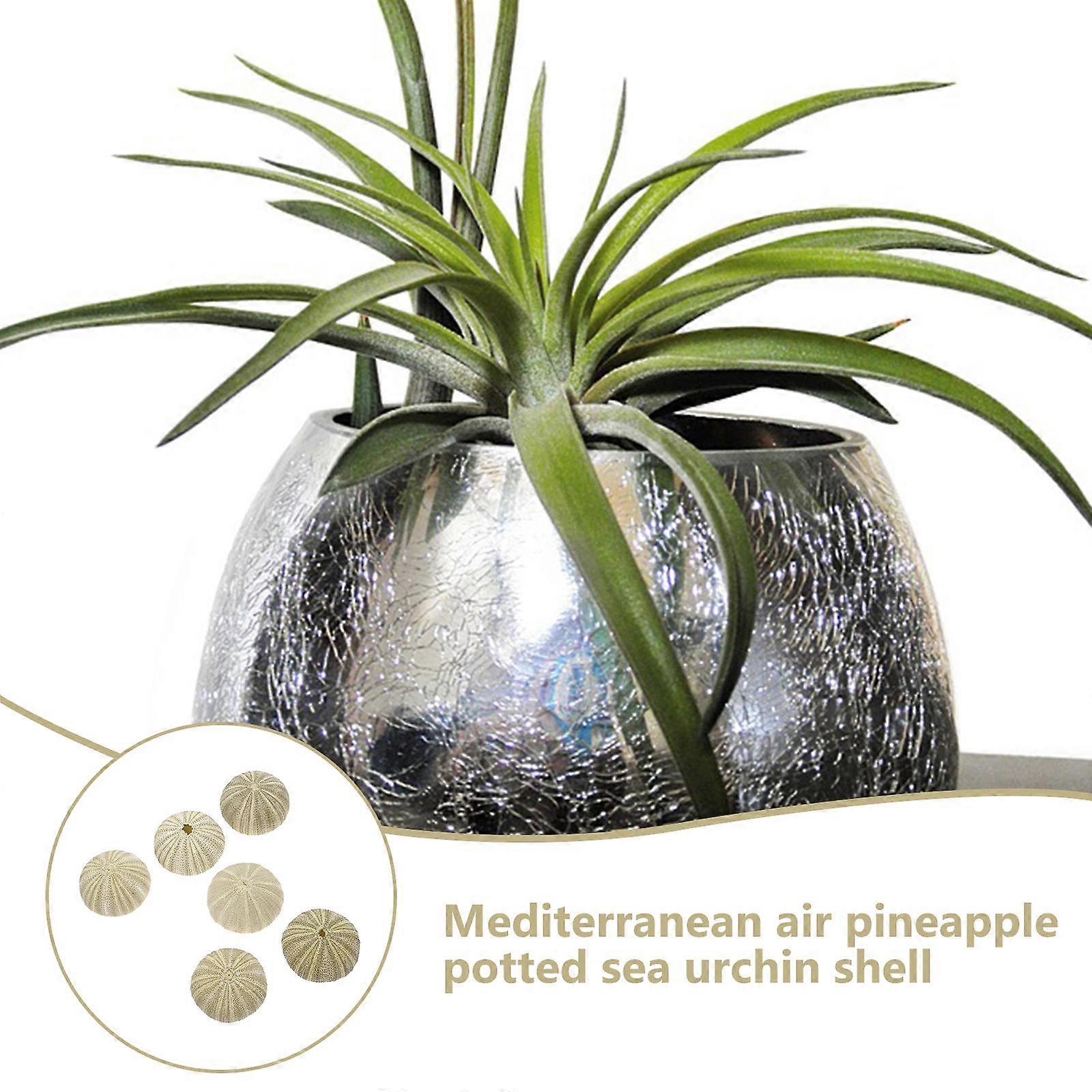 Green Sea Urchin Fish Tank Decors Shell Design Flowerpot DIY Air ...