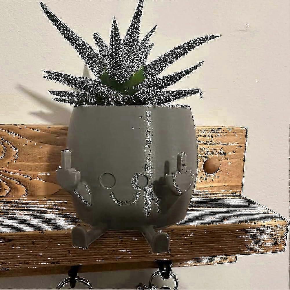 Smiling Plant Pot With Middle Fingers Up, Unique Cute Flower Pots For ...