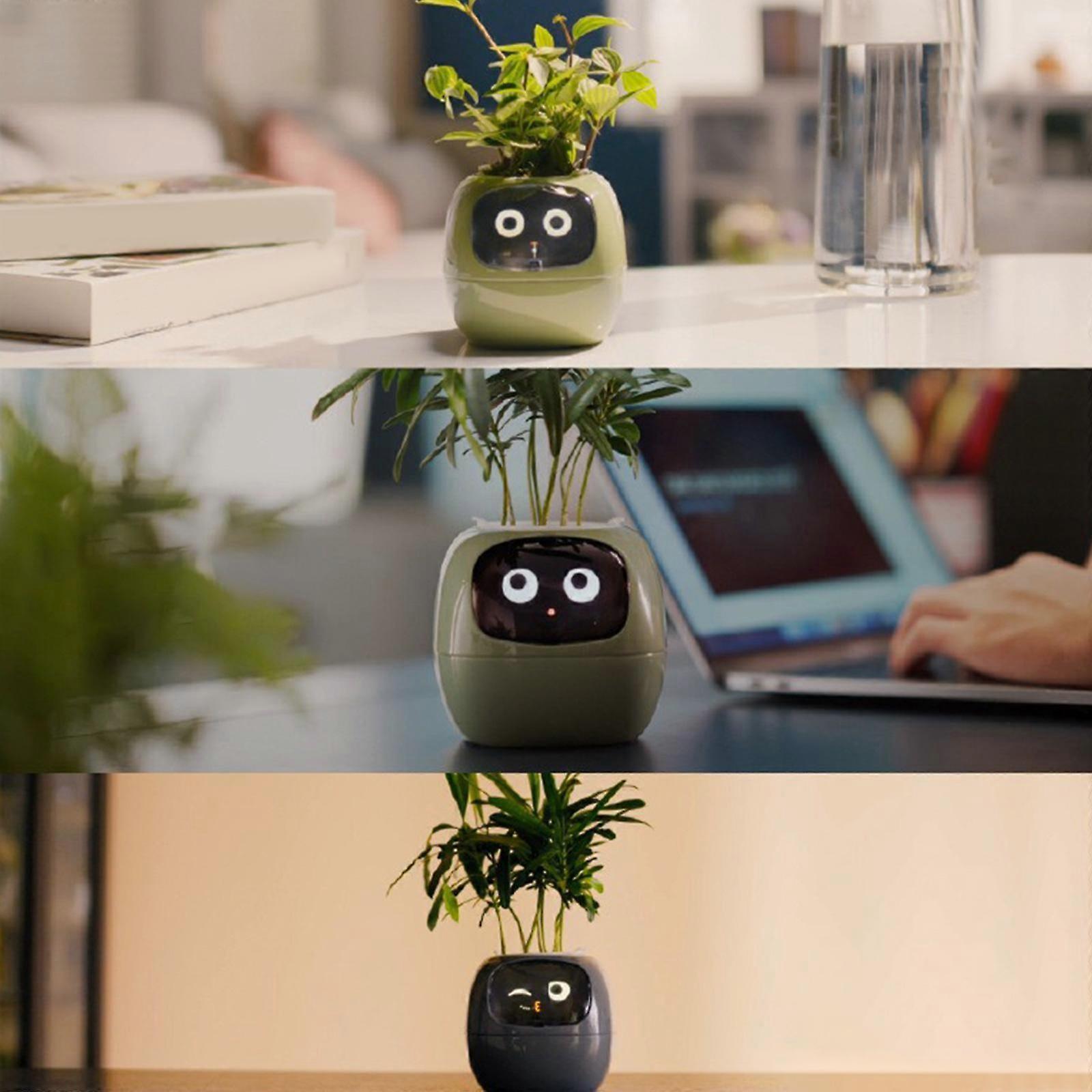 Smart Pet Planter Planters Statue Smart Flowerpot for Garden Desktop ...