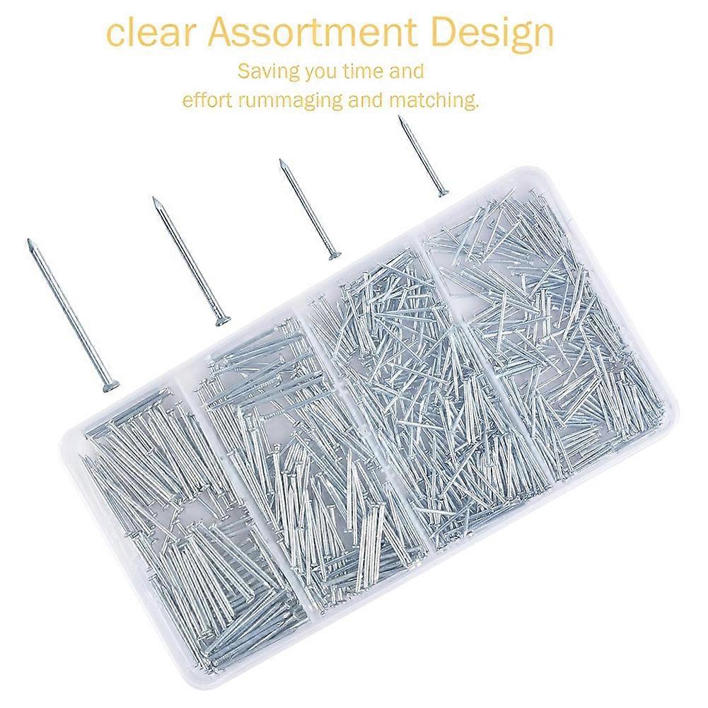Nail Assortment Kit and 8oz Small Hammer, 650 Pcs Small Nails, Nails ...