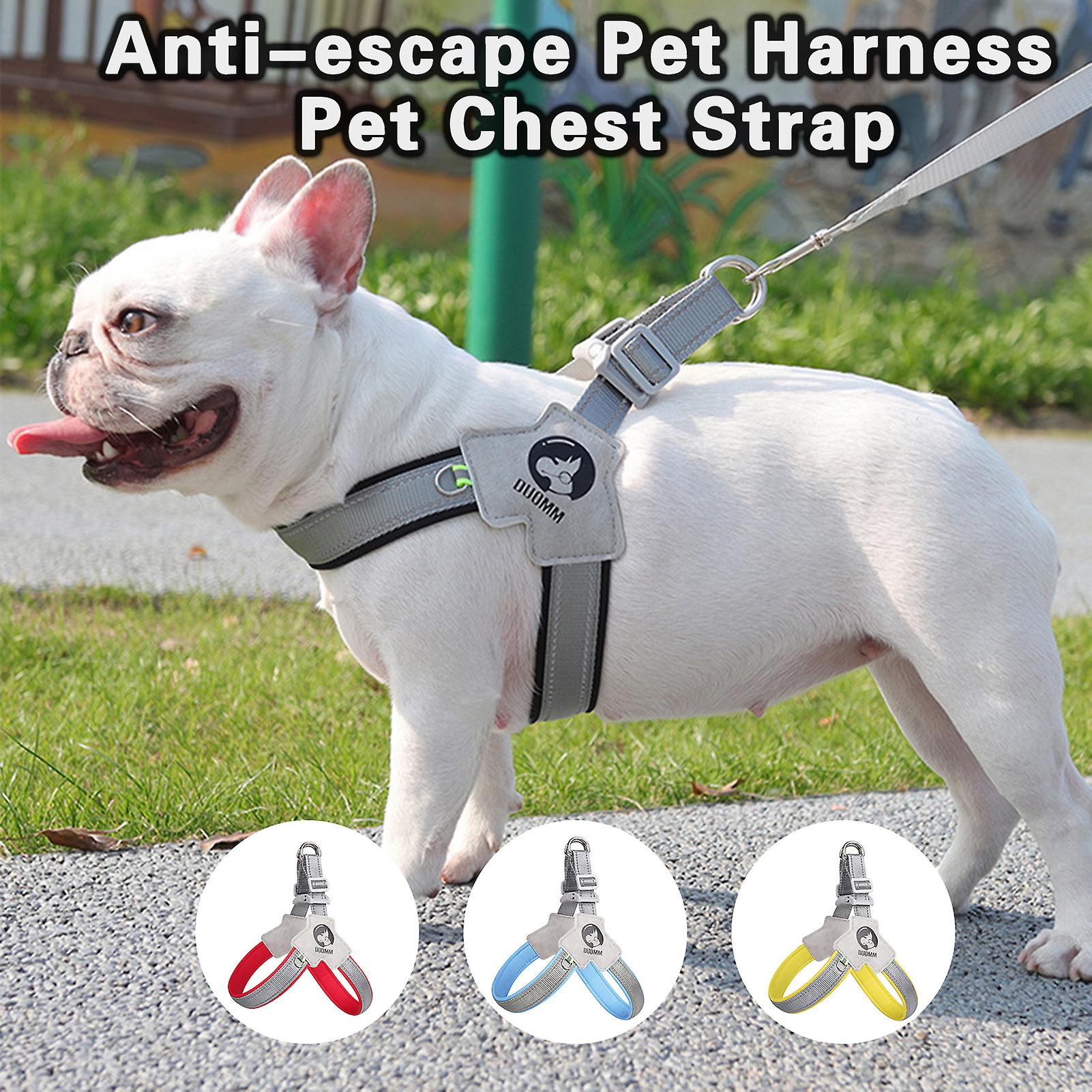 Dog Chest Strap Reflective Pet Harness Comfortable Adjustable Pet Chest ...