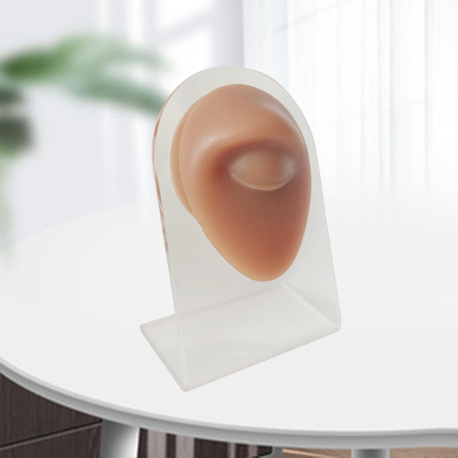 Human Body Part Models Silicone Modeling For Home Eye With Stand ...