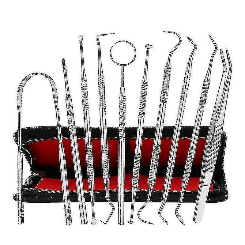 Dental Tools 10 Piece Set - Professional Plaque Remover Teeth Cleaning ...