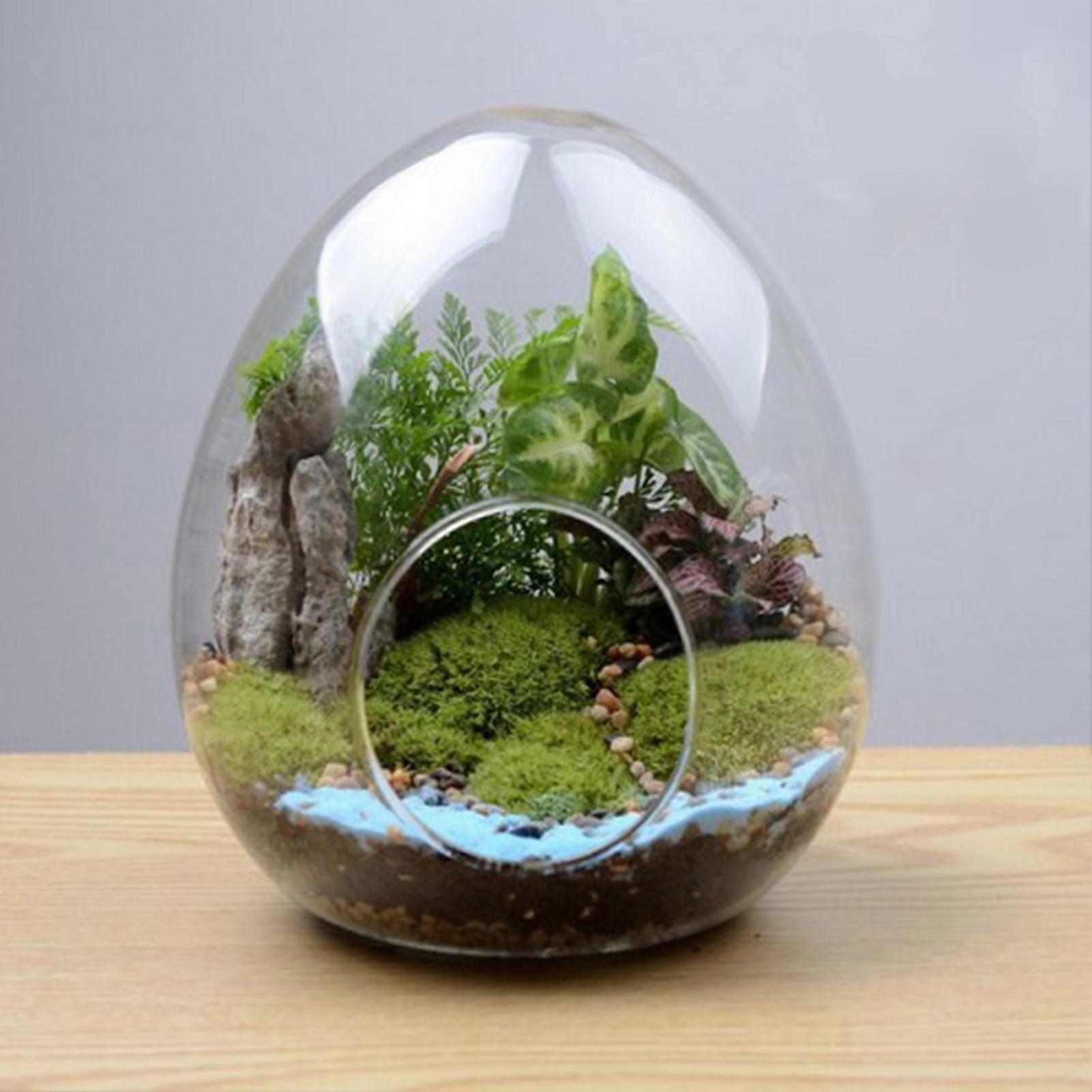 Glass Planter Flower Vase Landscape Holder Succulent Terrarium Planters ...