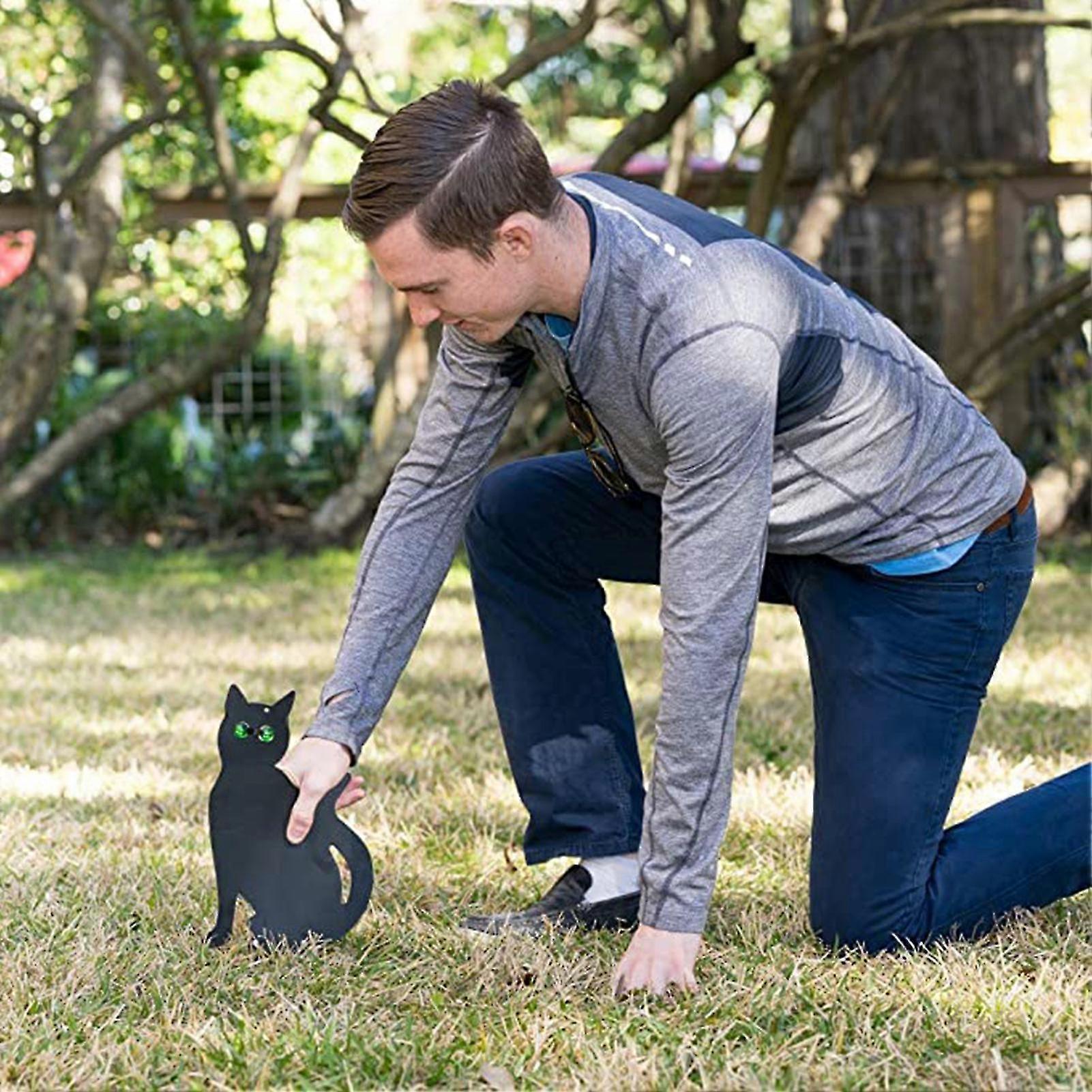 Cat Figure Ground Insert Decor Set 3 PCS 2D Lifelike Kitten with ...