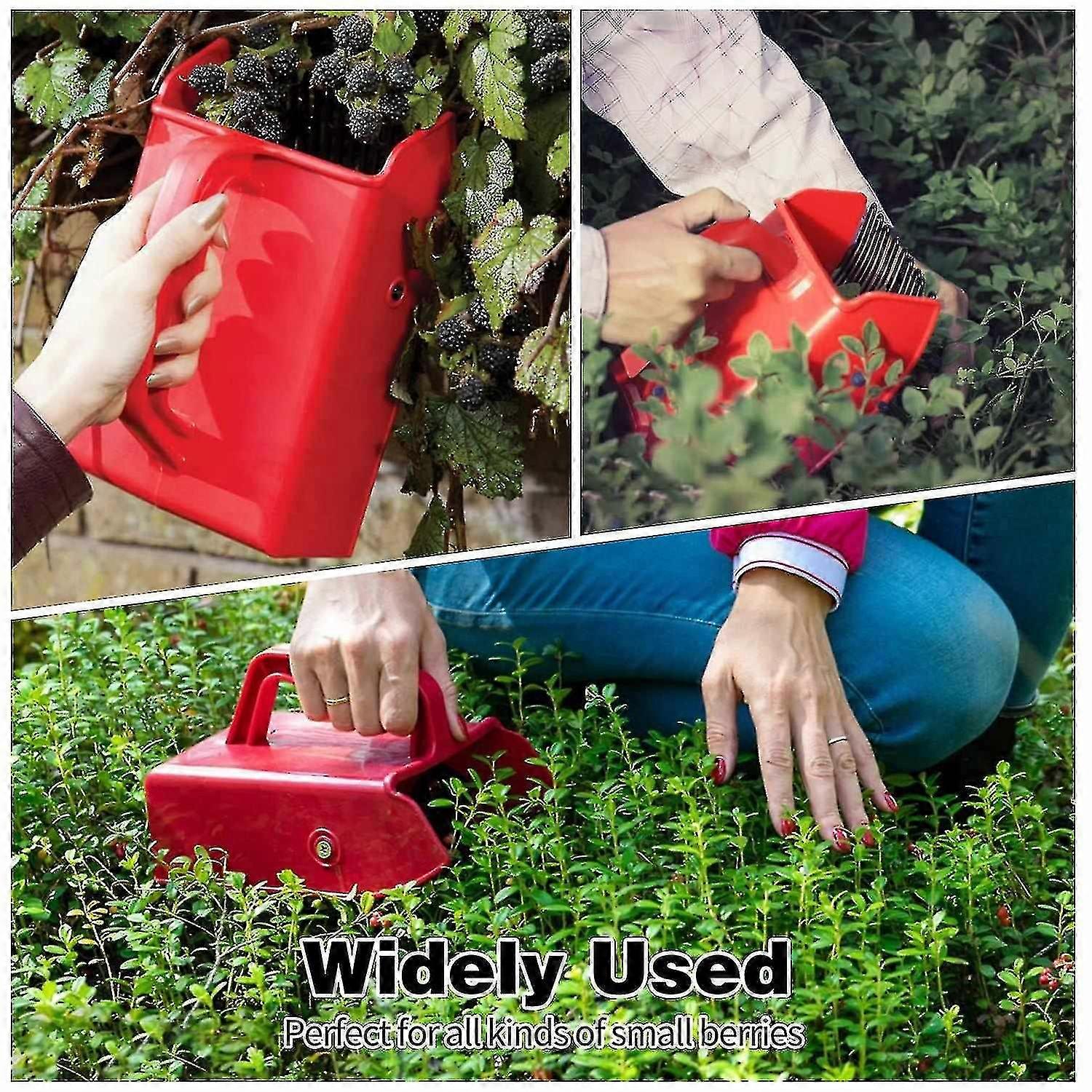 Berry Picker Berry Picker With Handle Blueberry Picker Garden Tools-In ...