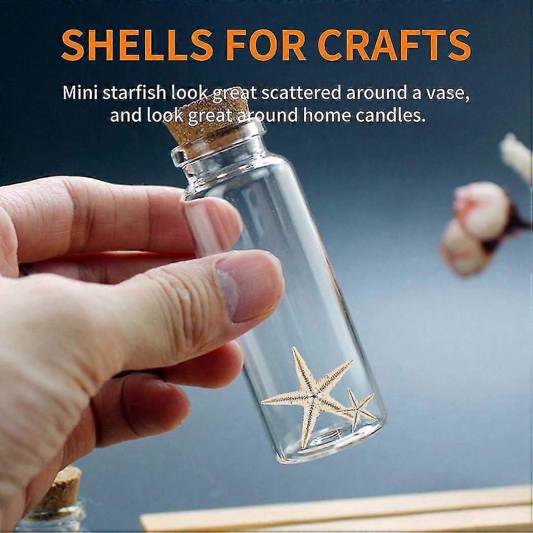 Small Starfish Star Sea Shell Beach Craft 0.4 Inch-1.2 Inch 180 Pcs ...
