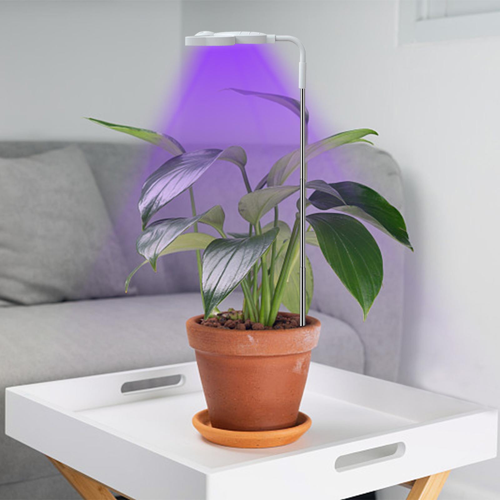 Led Plant Lamp Spectrum Imitates The Solar Indoor Household Bee ...