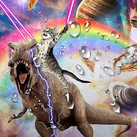 Funny Cat Shower Curtain Cool Cat Riding Dinosaur On Fantasy Galaxy ...