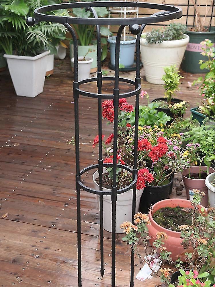 2023newsingle Loop Umbrella Type Flower Frame Climbing Plant Growth ...