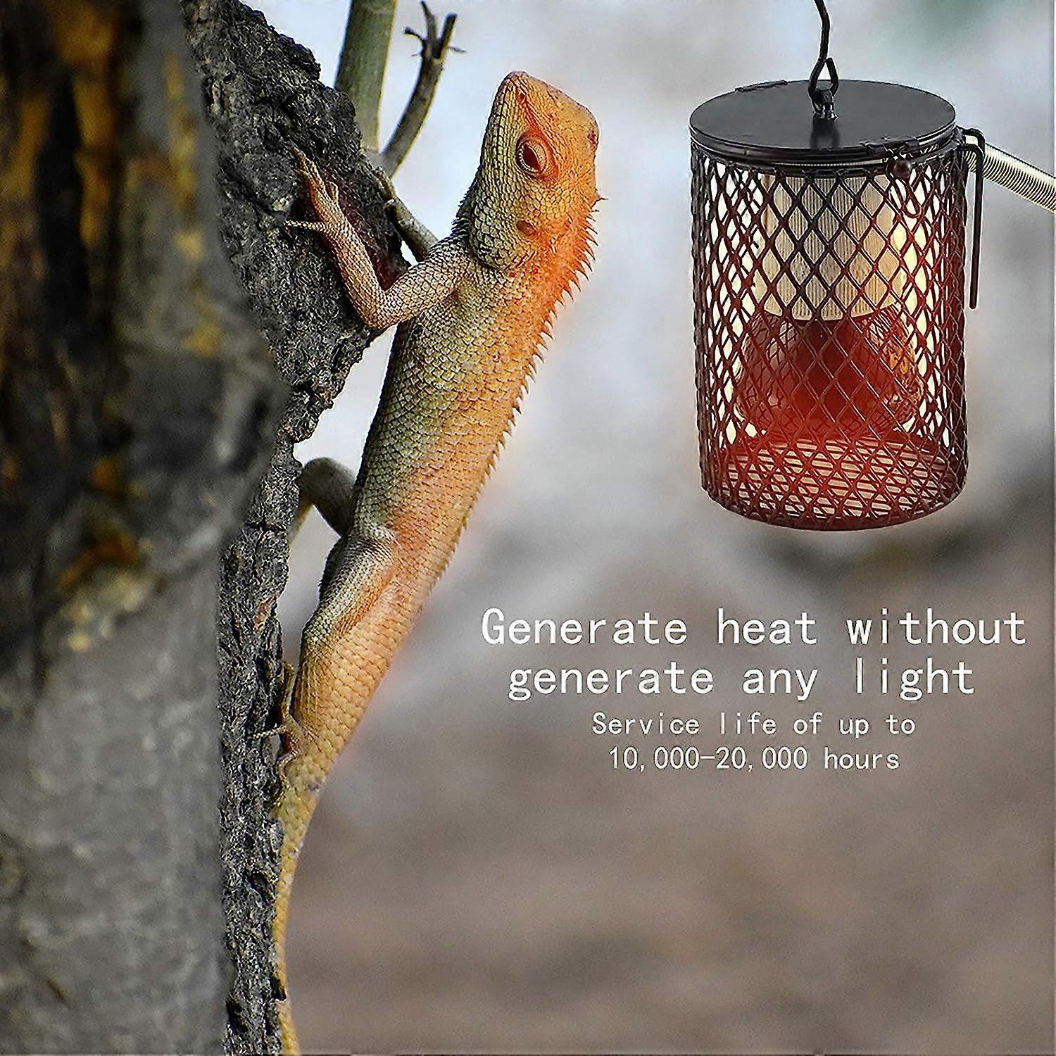 Heat Lamp Bulb, UVA UVB Heat Lamp Ceramic Socket, Heat Lamp with Cover ...