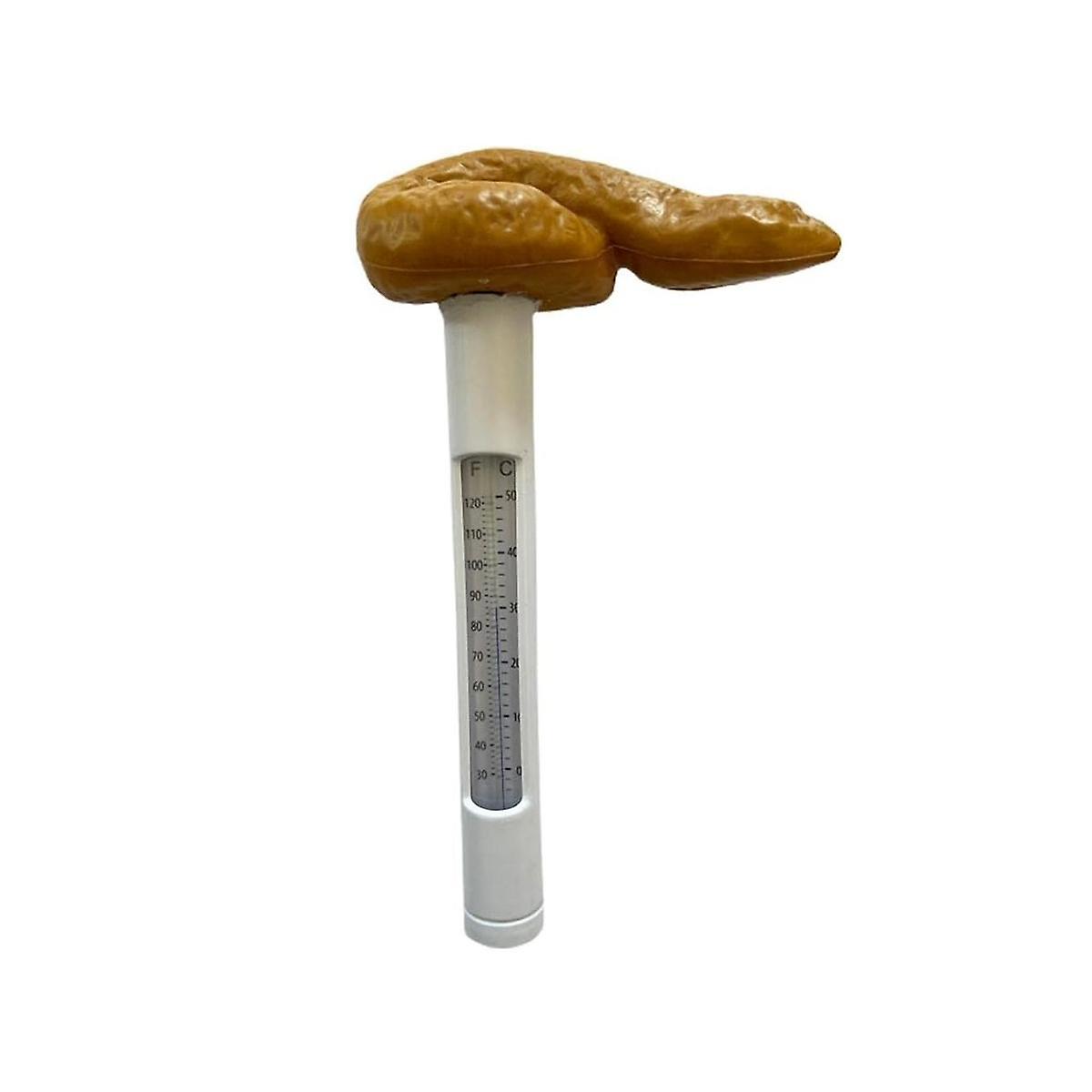 Poop Summer Swimming Pool Thermometer ,Funny Pool Thermometer Floating ...