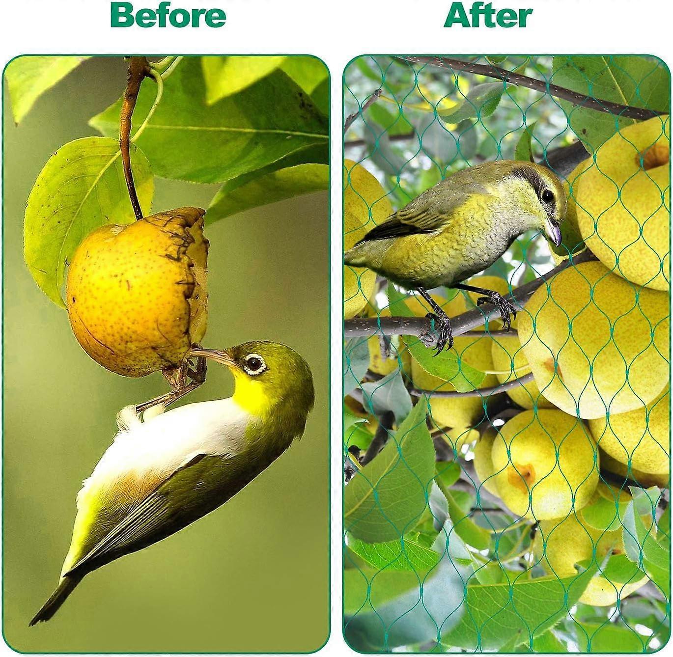 Green anti-bird netting, protective netting against garden birds ...
