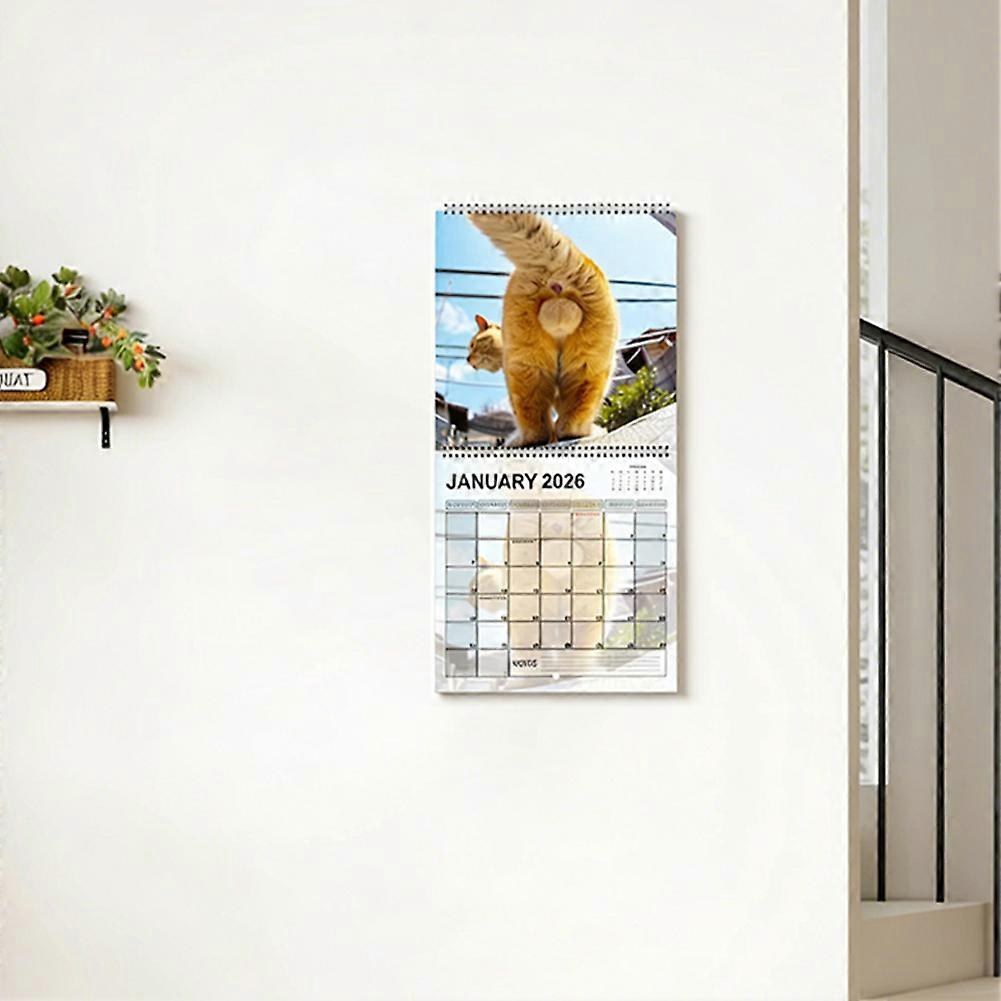 Funny Cat Butthole Calendar 2026, Cat Balls Calendar, 12 Month Cats ...