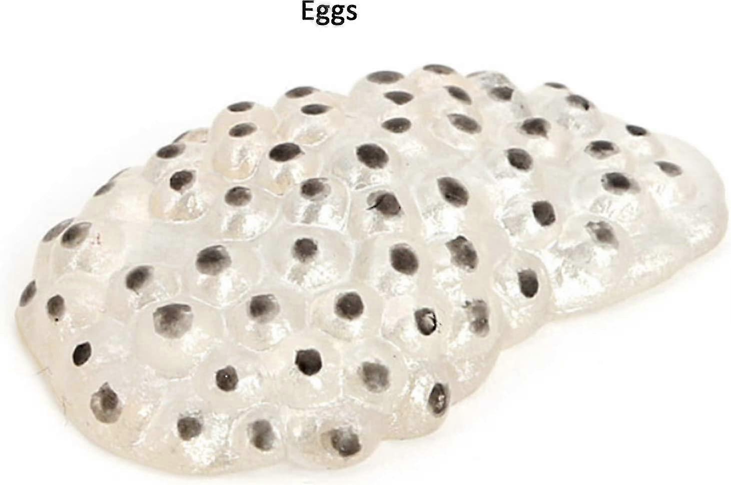 Animal Biological Model Growth Cycle, Growth Stage Life Cycle Frog Life ...