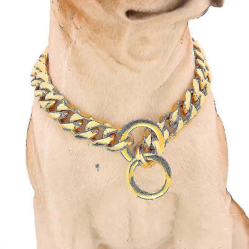 Gold Dog Collar Chain With Steel Buckle Width, Stainless Steel Cuban ...