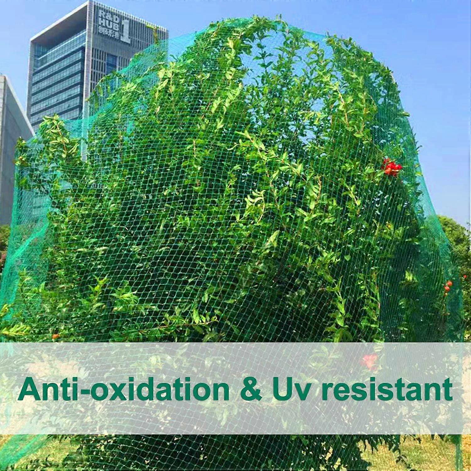 Green anti-bird netting, protective netting against garden birds, netting for garden plants ...