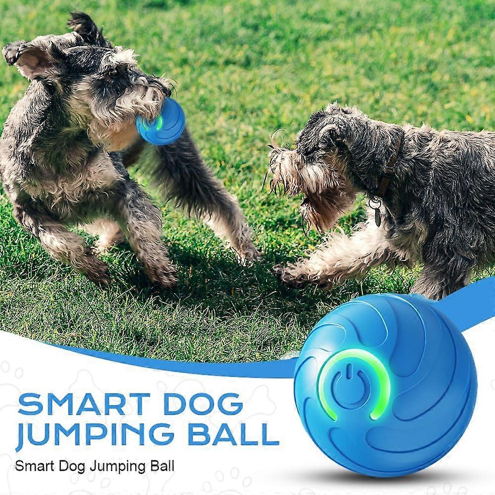 Vibrating Dog Ball, Moving Dog Ball, USB Rechargeable Shaky Ball Toy ...