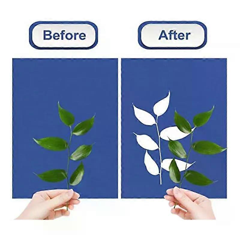 30 Sheets Cyanotype Paper Sun Art Paper Kit Solar Drawing Paper Nature ...