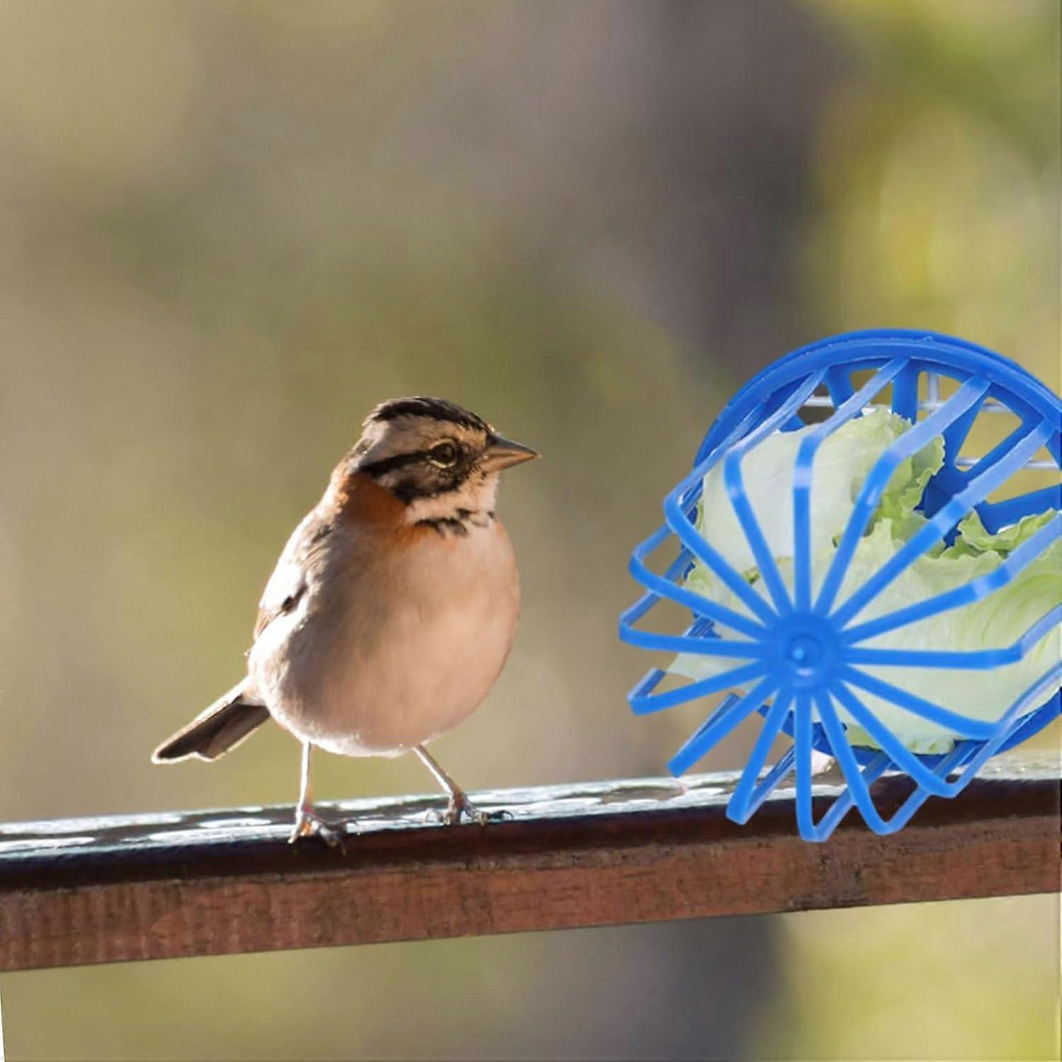Bird Cage Fruit Basket and Inner Bird Feeder Set - 2 Piece Parrot ...