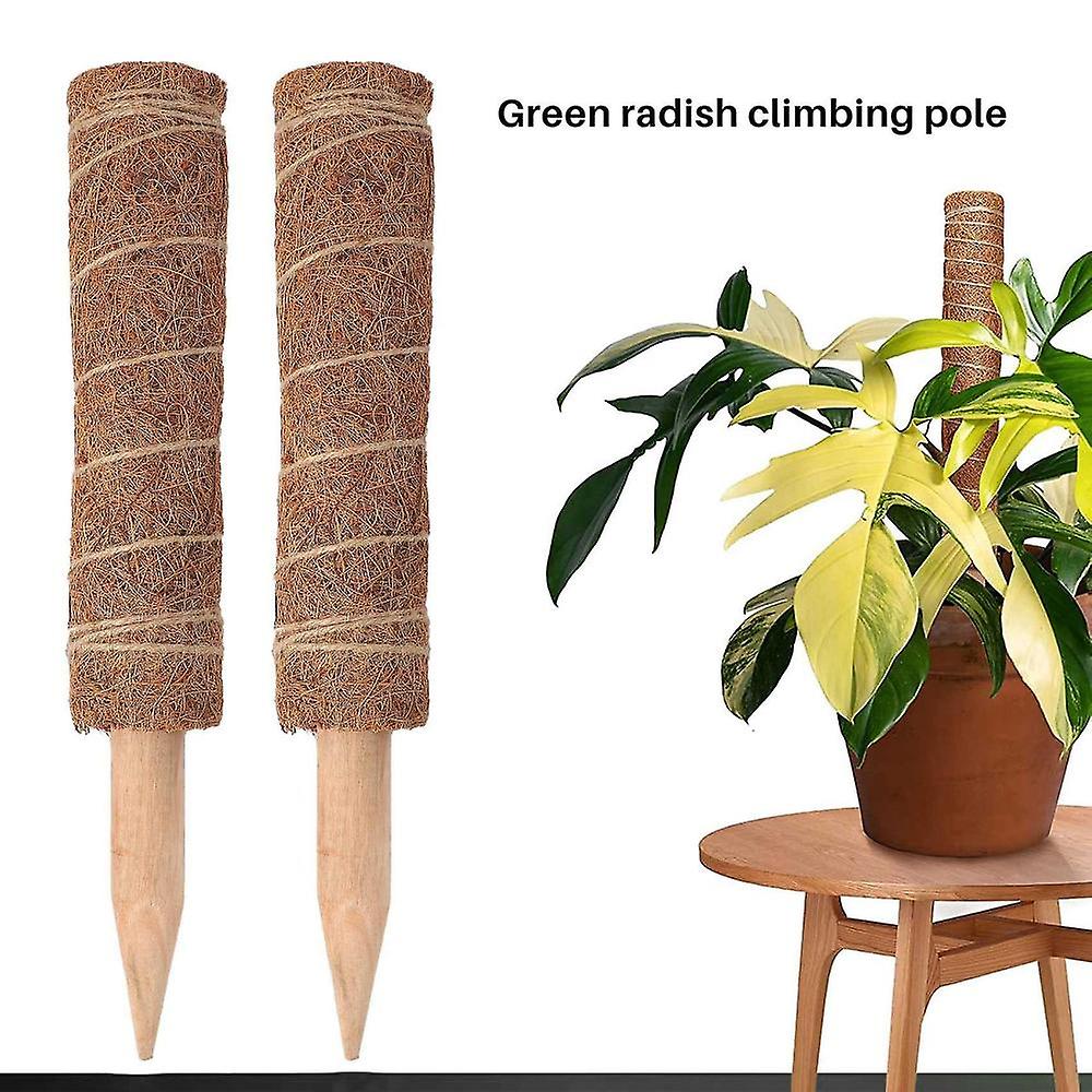 6pcs Extension Climbing Indoor Plants Creepers Plant Support Climbing ...