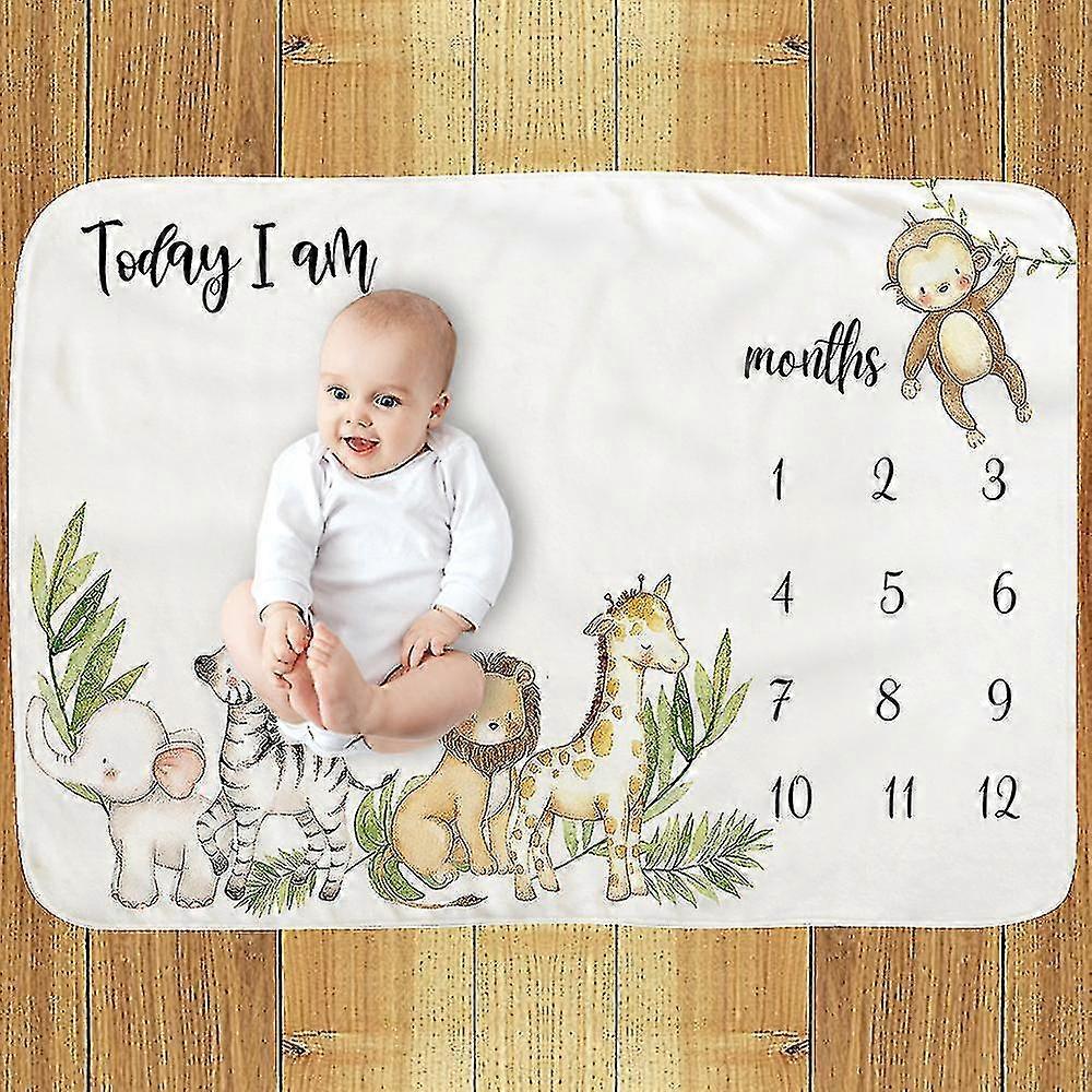 Baby Monthly Milestone Flannel Blanket Newborn Photo Mat Photography ...