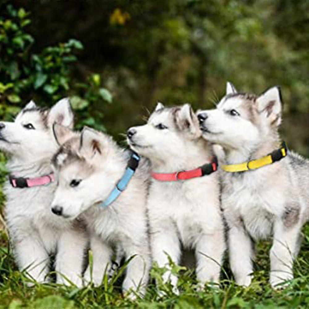 12pcs Puppy Collars For Litter With Id Tags Puppy Id Collars Whelping ...