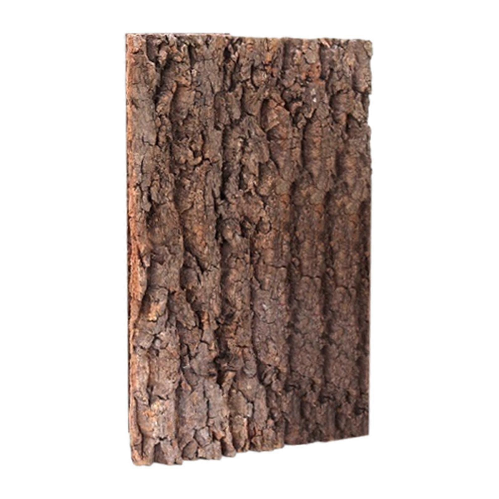 Cork Bark Background Habitat Decor Reptile Background Terrarium ...