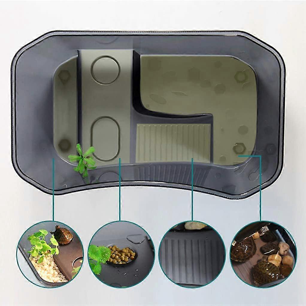 Open turtle tank with terrace water turtle box Brazilian tortoise ...
