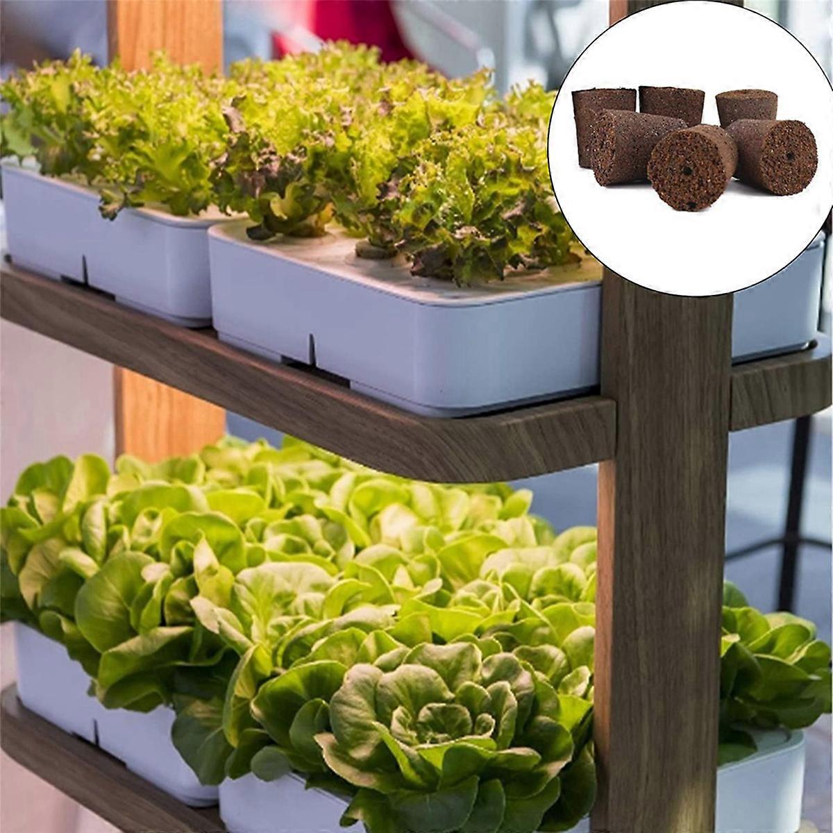 48X Plant Grow Sponges for Garden Hydroponic Indoor Garden Smart Sponge ...