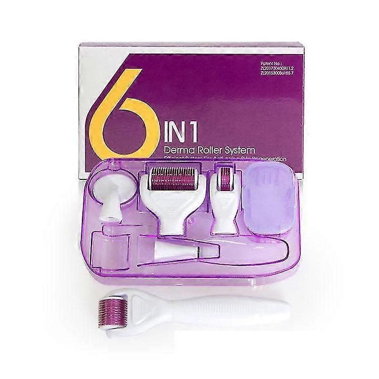 6 In 1 Derma Roller Kit Face Stimulation Therapy Skin Care Tool | Fruugo UK