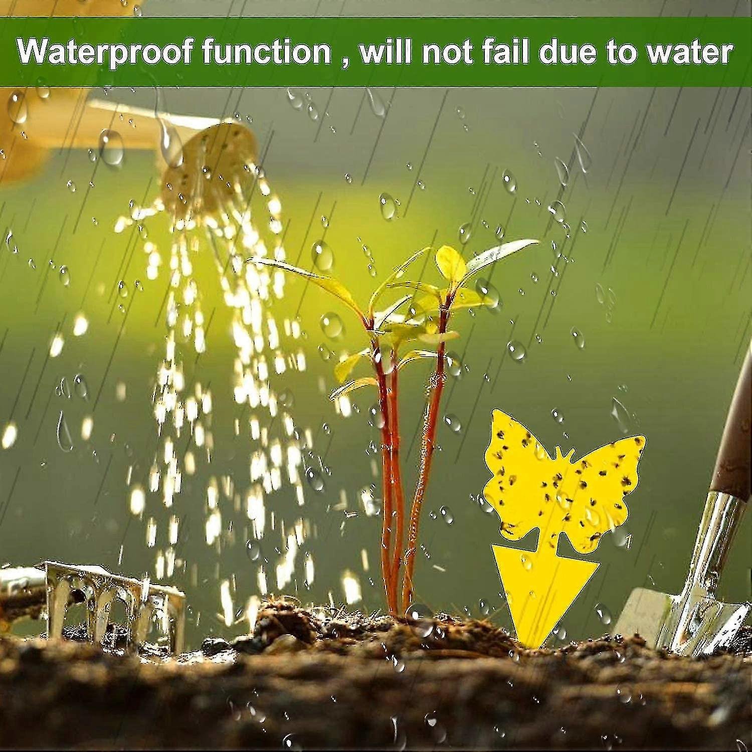 Plant Yellow Sticker, 48 Pieces Insect Traps, Sticker Traps, Yellow Fly ...