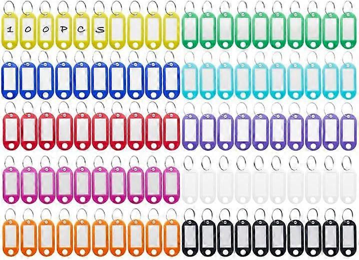 100 Pieces Key Rings, Plastic Key Tags, Writable Colored Key Rings in ...