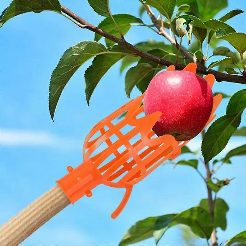 Garden Fruit Picker Head Orchard Apple Pears Orange High Tree Picking ...