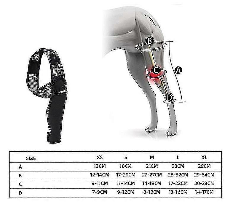 Dog Knee Brace For Acl, Knee Cap Dislocation, Arthritis - Keeps The ...