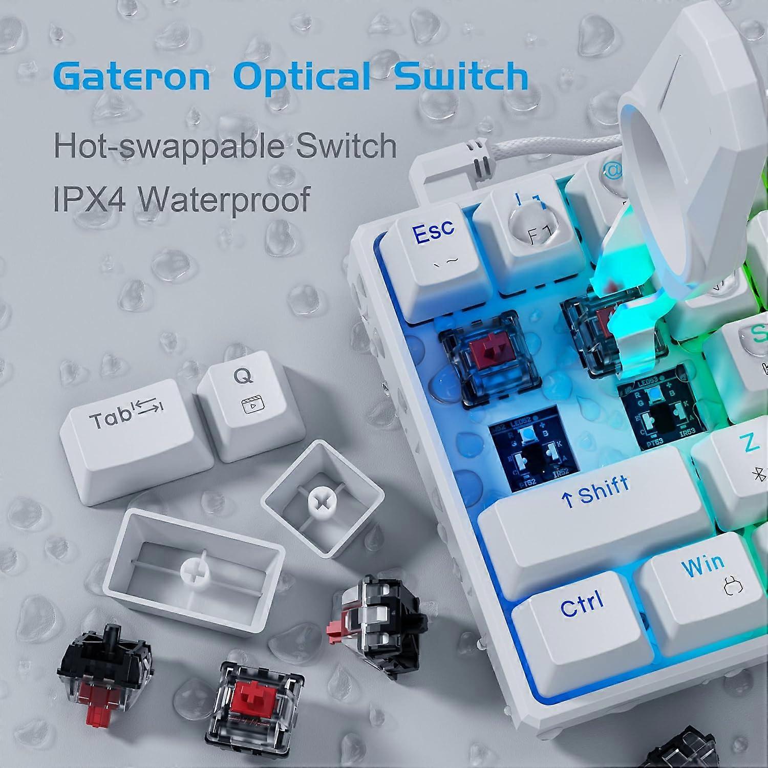 Mechanical Keyboard, Ergonomic Design Ultra-Compact 60% Layout with Hot ...