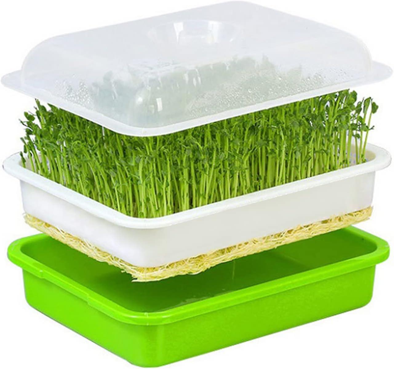 Sprouter For Sprouting Seeds, Sprouter For Sprouting Seeds, Automatic ...