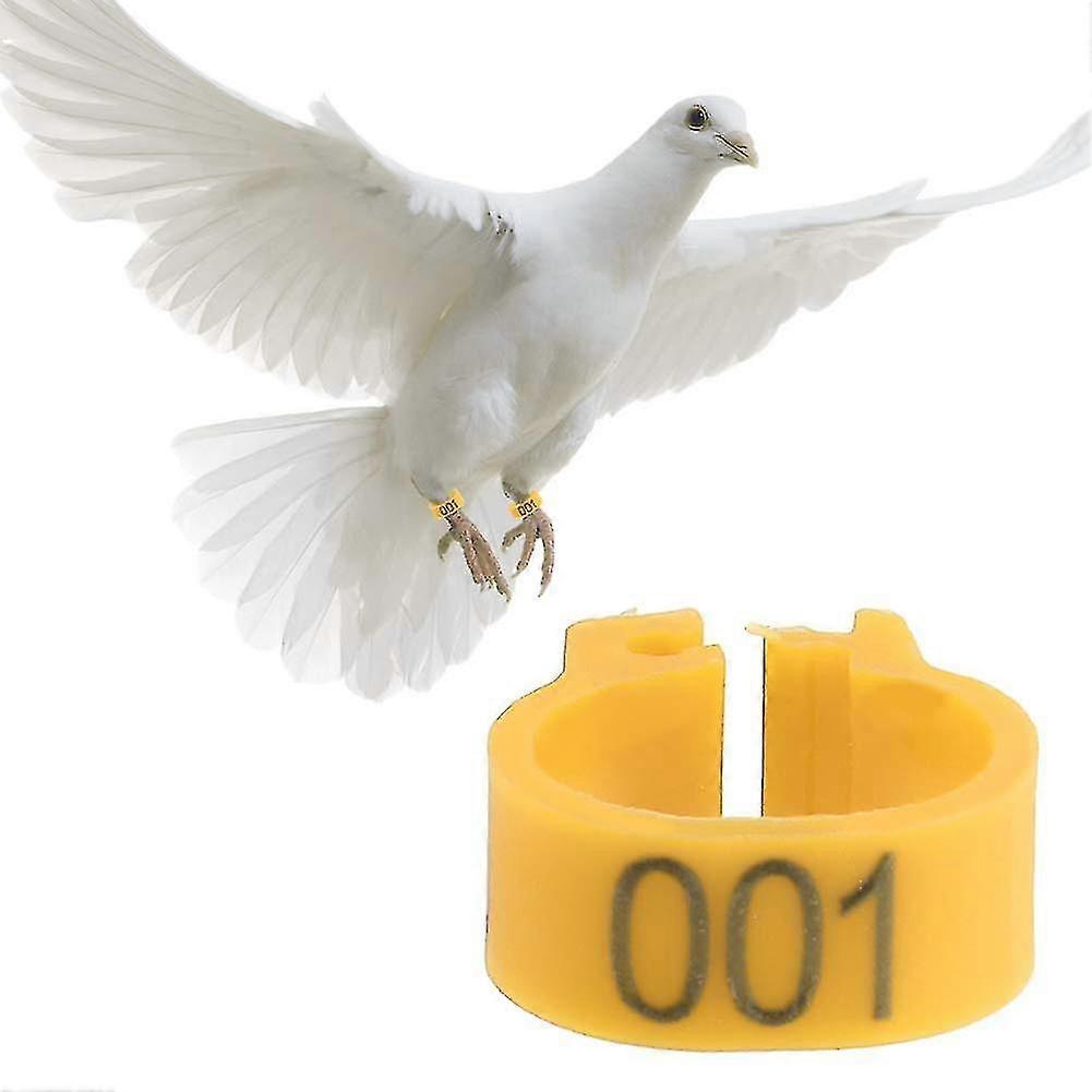Pigeon Feet Rings 8 Mm Bird Leg Clip Rings Plastic Pigeon Leg Bands ...