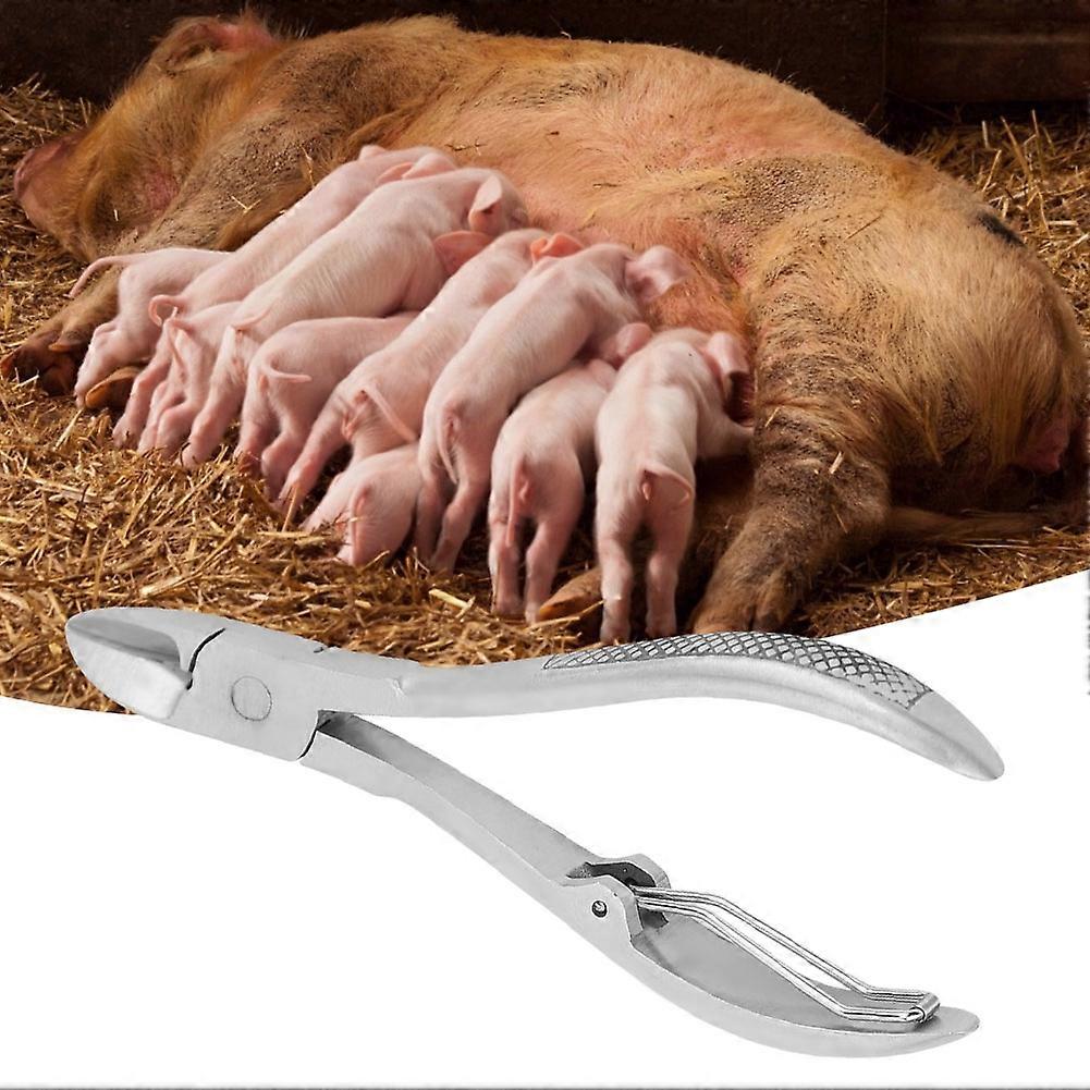 Stainless Steel Pliers Broken Tooth Clamp Pig Farm Equipment Durable ...