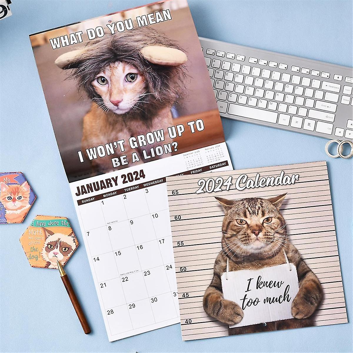 2024 Wall Calendar - Funny Cat Calendar 2024, January 2024 - December ...