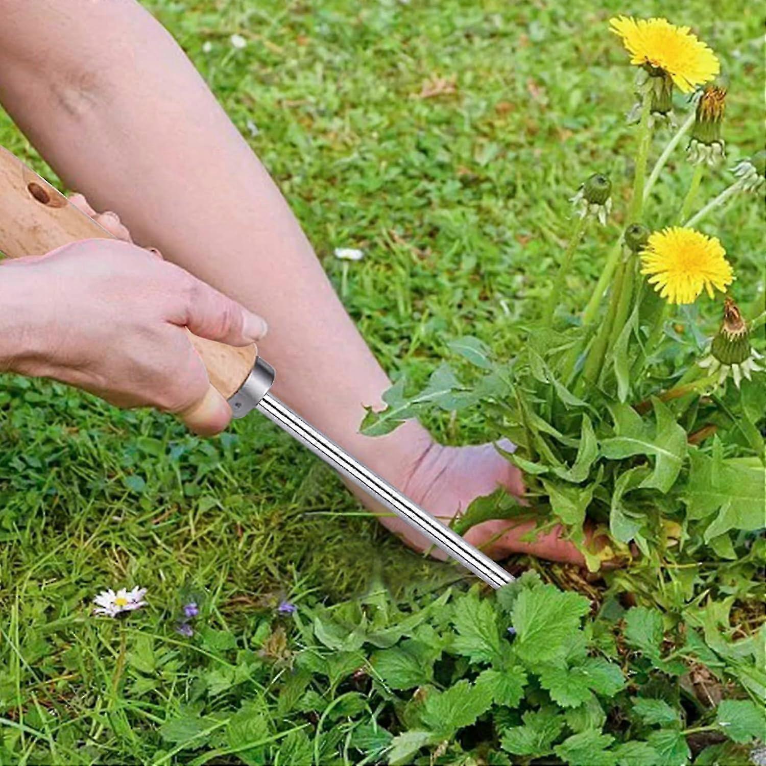 1PC Stainless Steel Weeding Tool, Manual Weeding Machine with Wooden ...