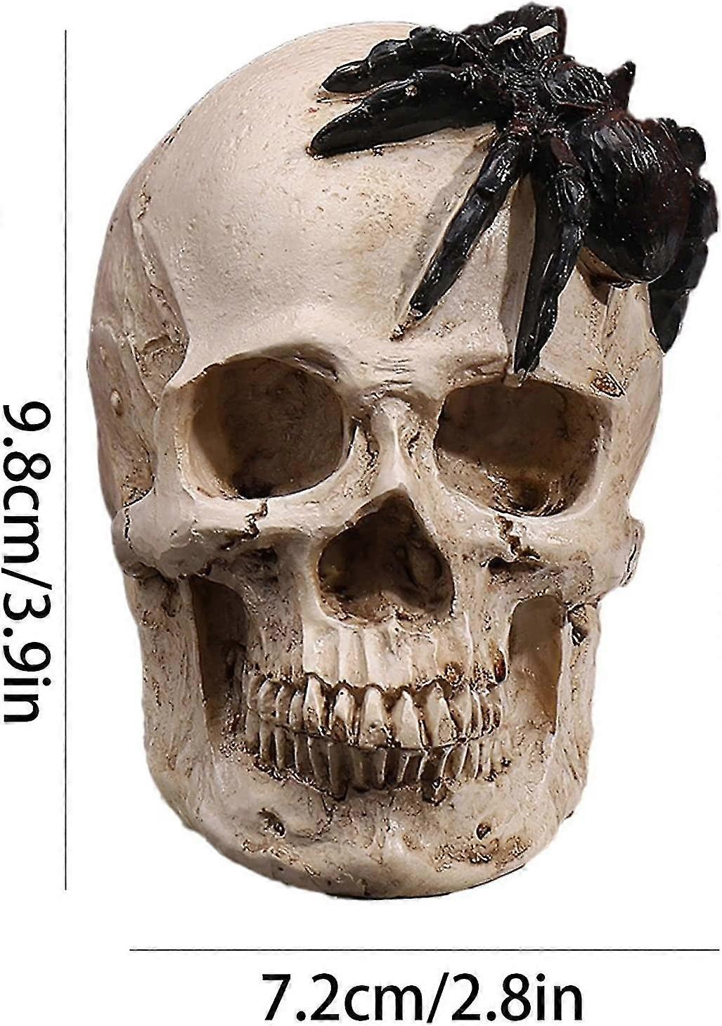 Spider skull Lamp - Highly Realistic Human Skull Statue Home Decor ...