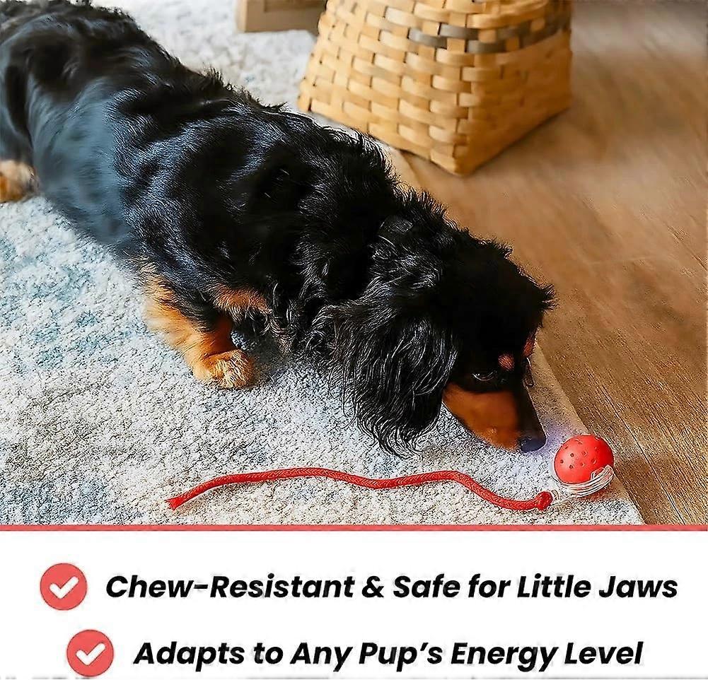 Tiny Fetch Dog Toy,Tinyfetch Interactive Dog Cat Toys Balls,Fast Moving ...