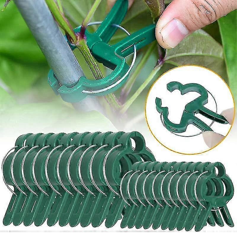 Fastener Greenhouse Bracket Pole Fixed Clamp Plants Flower Seedling ...