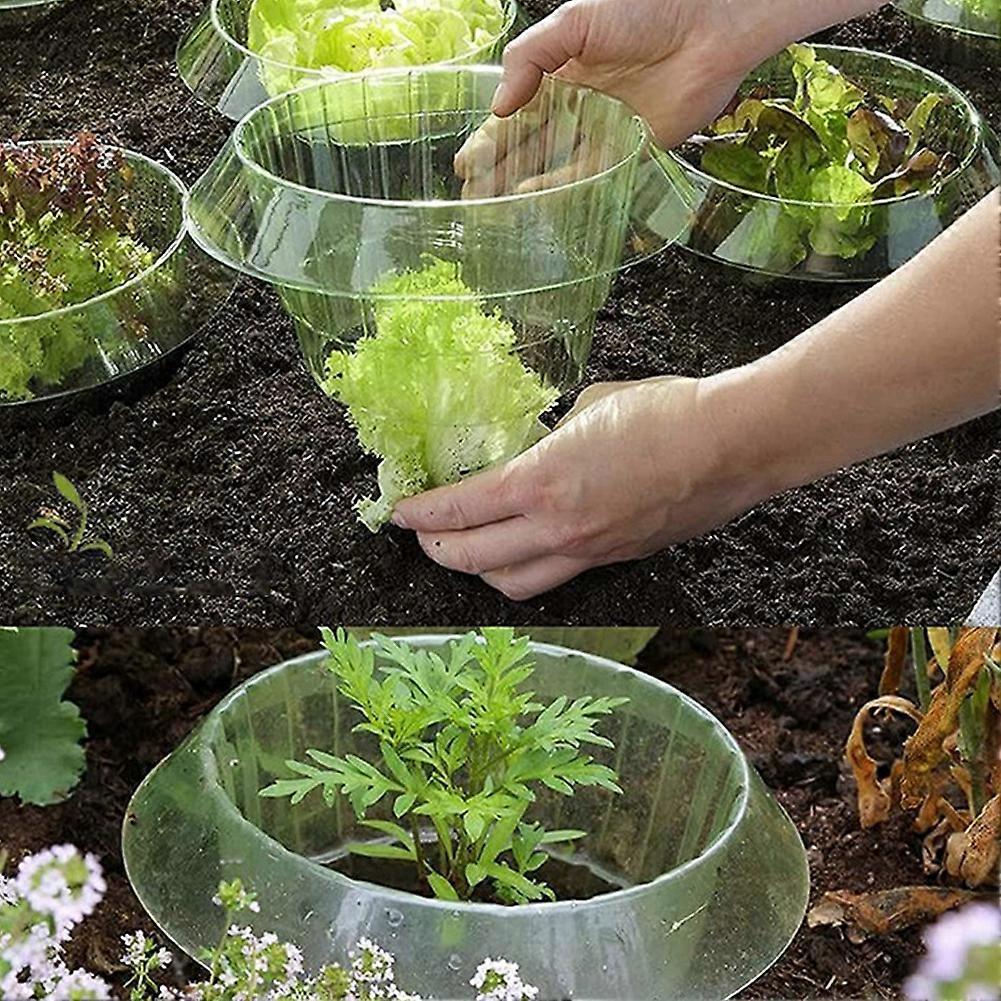 6pcs slug protection vegetable plant cover snail collar garden guard ...